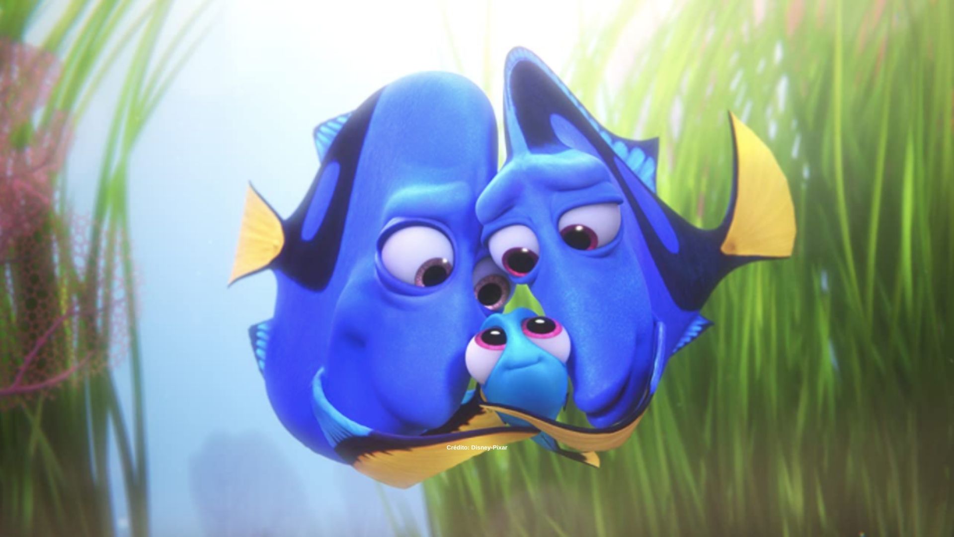 7 señales de que compartes personalidad con Dory de Buscando a Dory